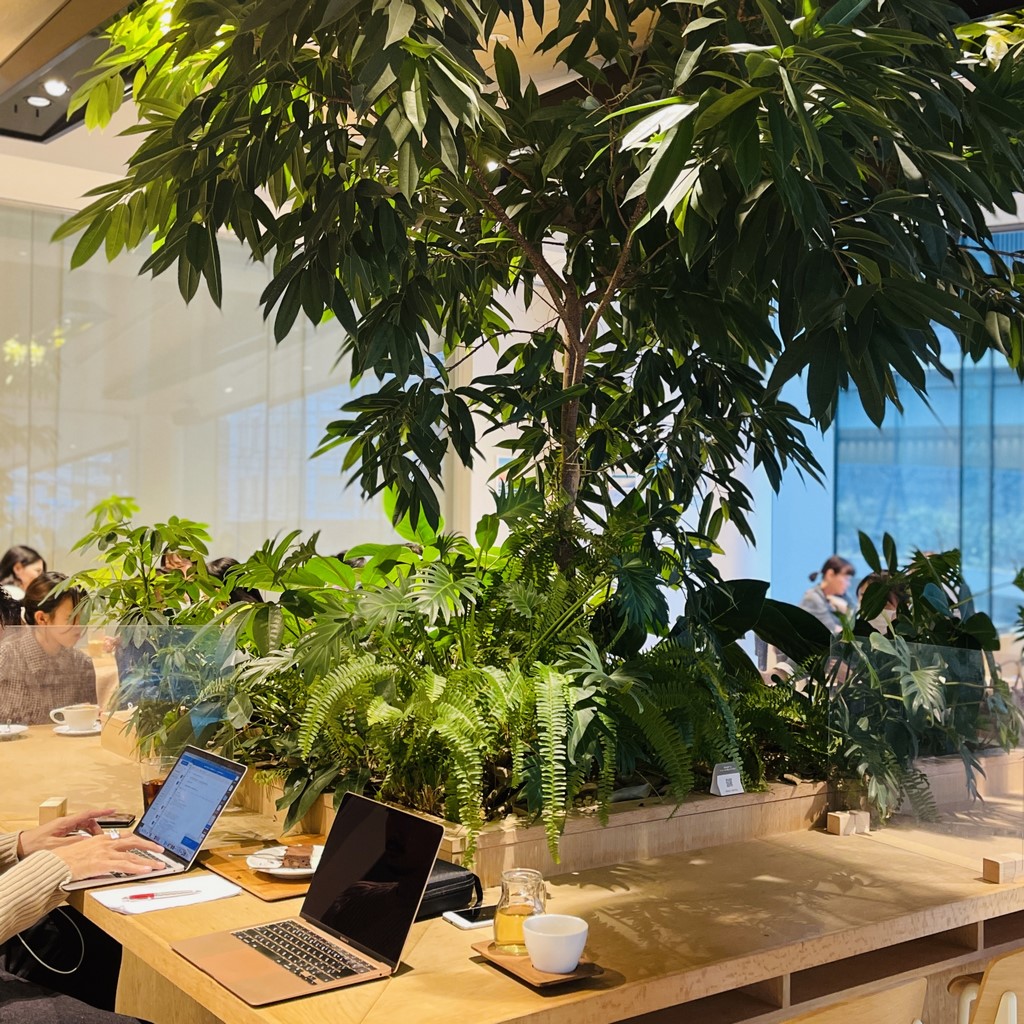 Verve Coffee Roasters Roppongi Cafe（ヴァーヴ コーヒー 六本木店）～リアルカリフォルニアライフスタイルの ...